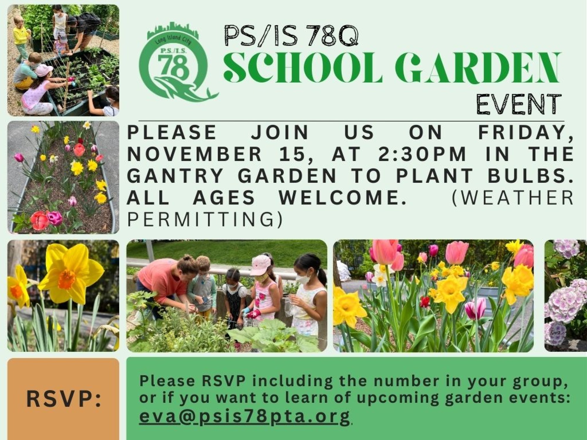 Gantry Garden Bulb Planting - News - P.S./I.S. 78Q PTA